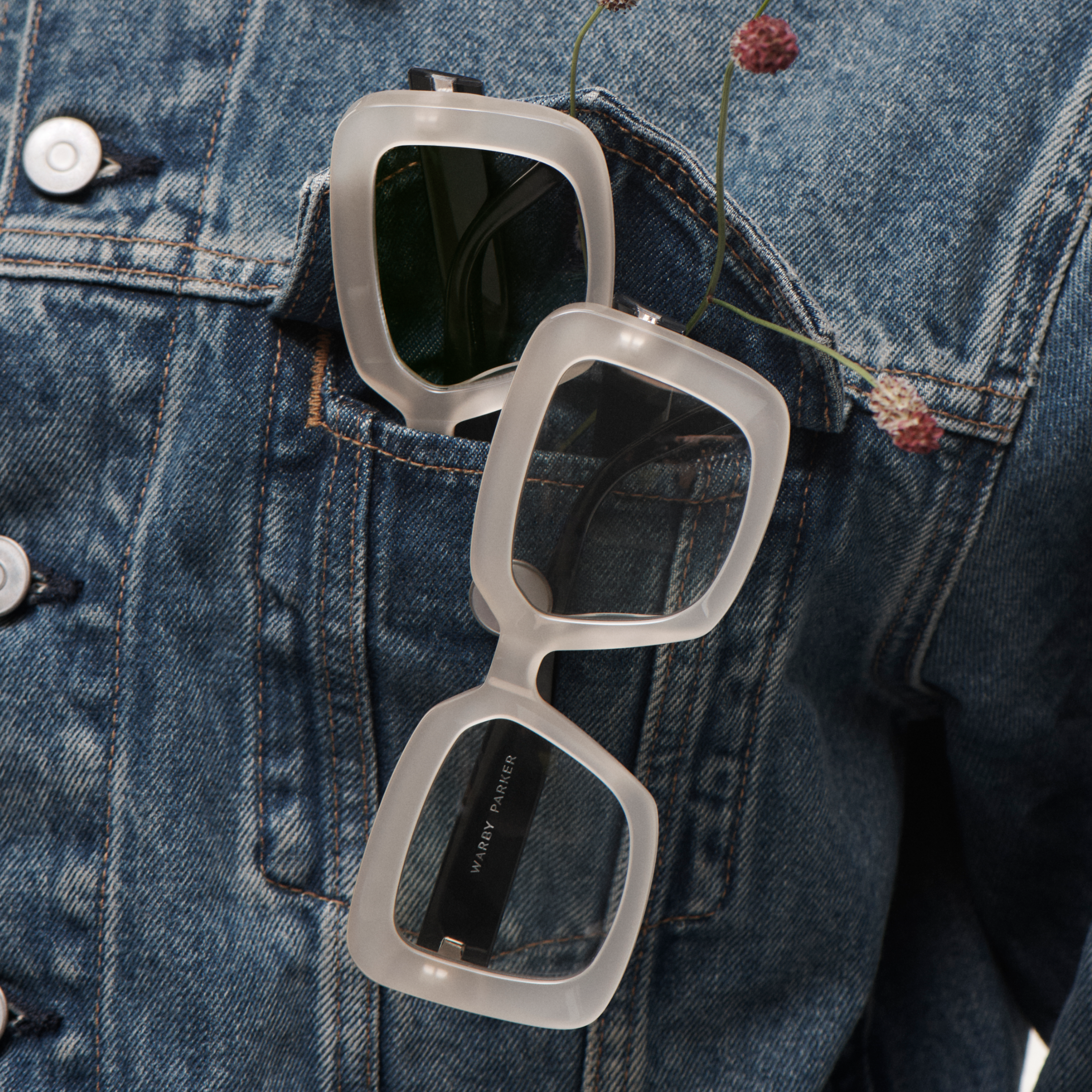 New Collections | Warby Parker